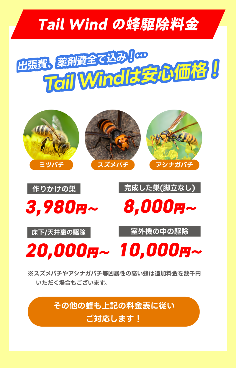 三重県でハチ駆除ならTail Windにお任せください | まずは無料見積もりからお試しを