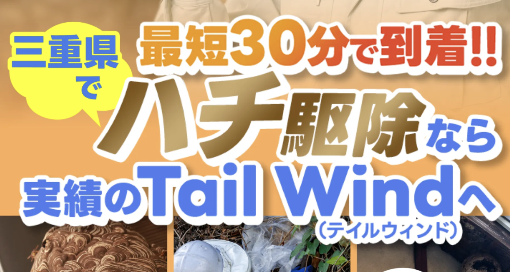三重県でハチ駆除ならTail Windにお任せください | まずは無料見積もりからお試しを